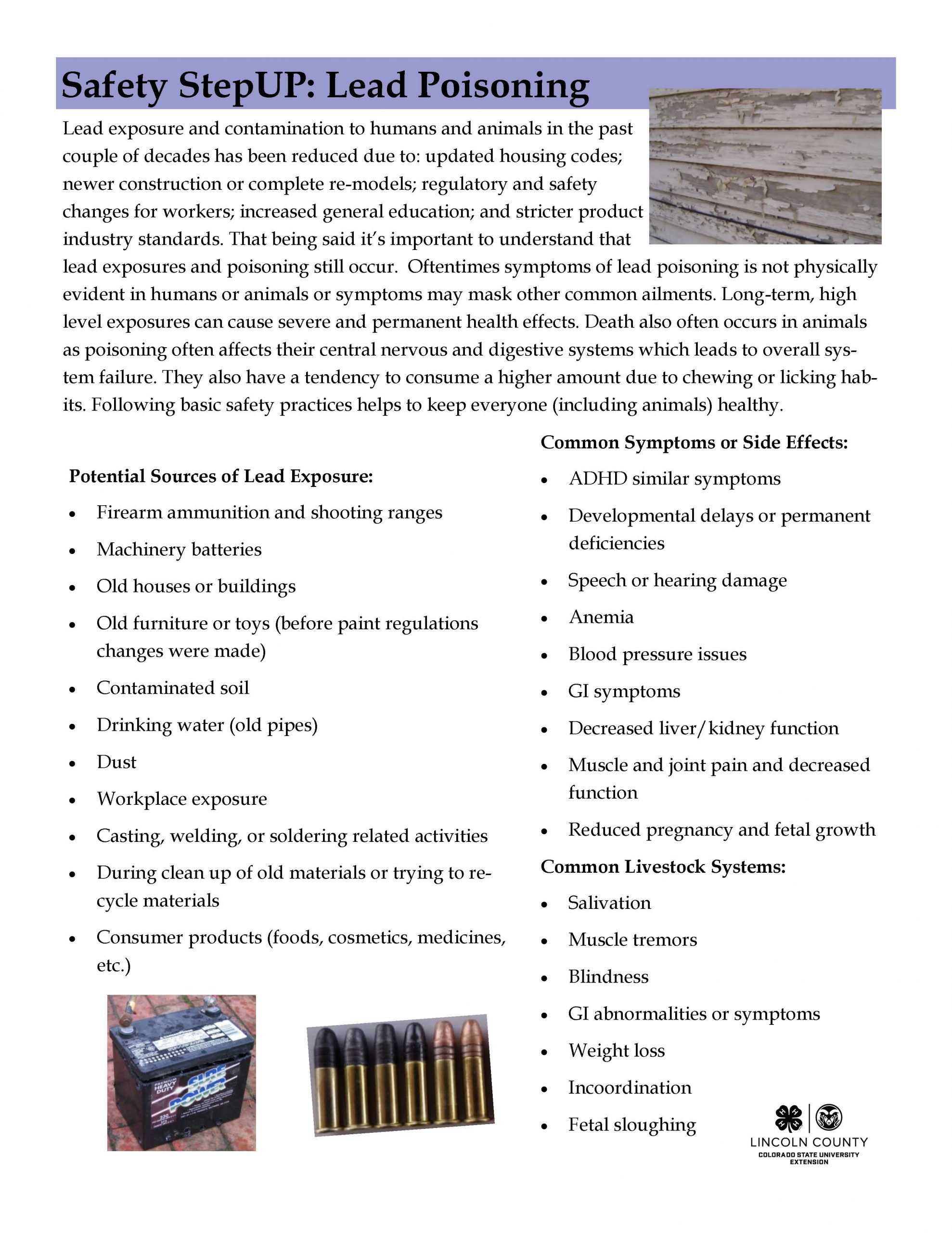 Safety StepUP: Lead Poisoning – Lincoln County Extension
