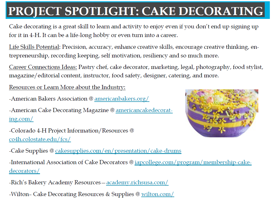 Project Spotlight: Cake Decorating – Lincoln County Extension